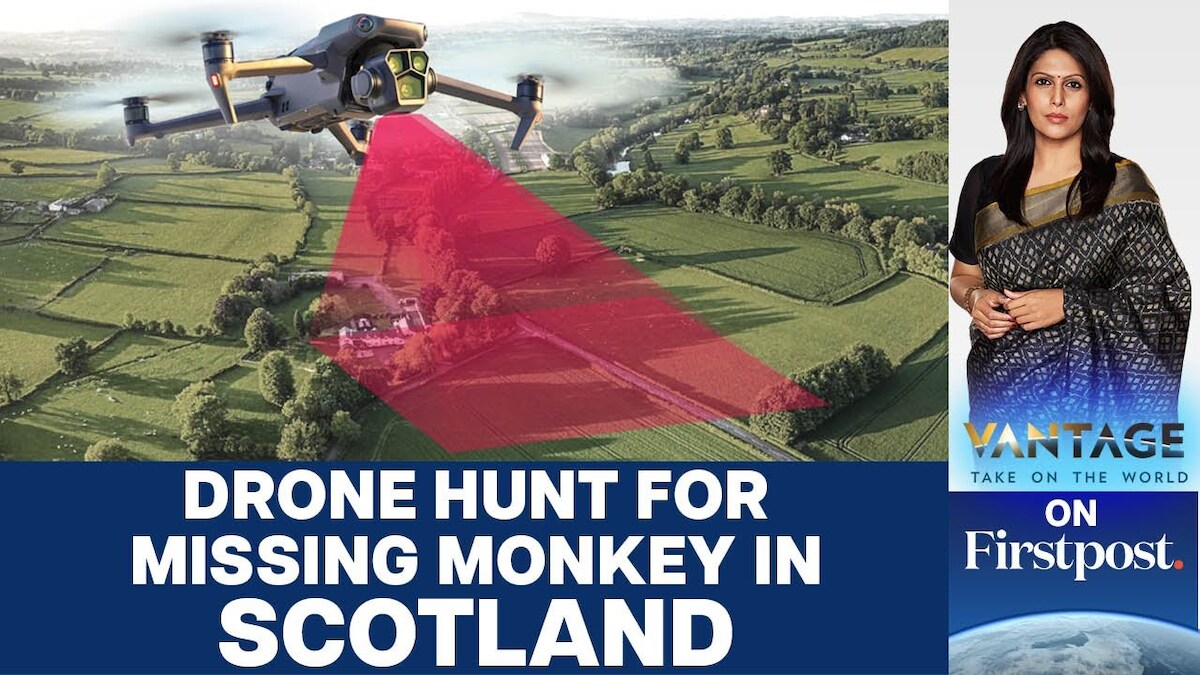 Thermal Drones, Hotline to Track Down Scottish Monkey on the Run ...