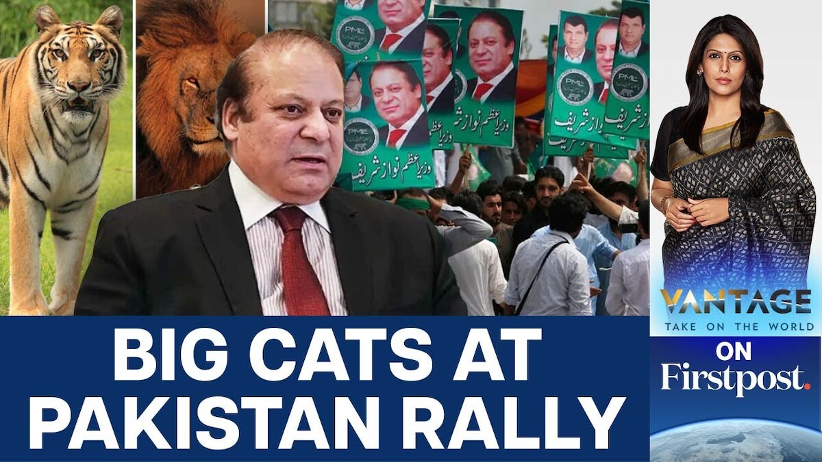 Lion and Tiger Spotted at Nawaz Sharif's Rally | Vantage with Palki Sharma