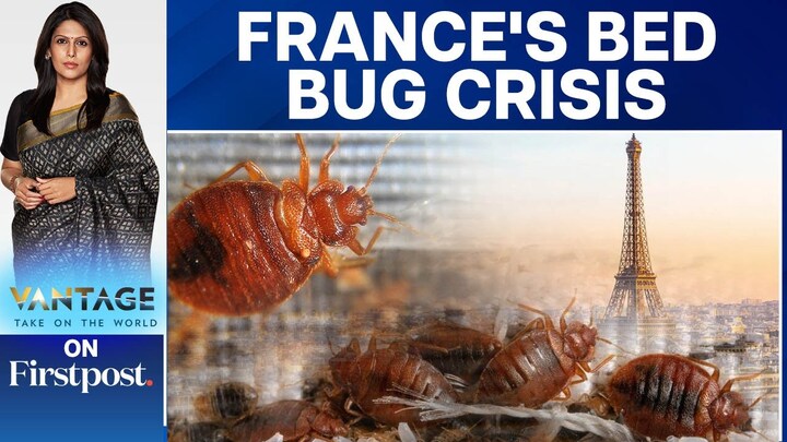 France in Grip of Bed Bug Panic ahead of Paris Olympics | Vantage with ...