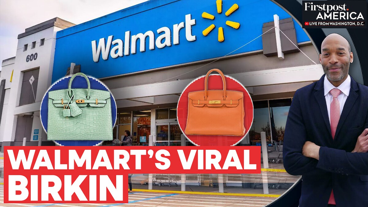 Walmart Sells Birkin Lookalike For Under $100, Social Media Divided ...