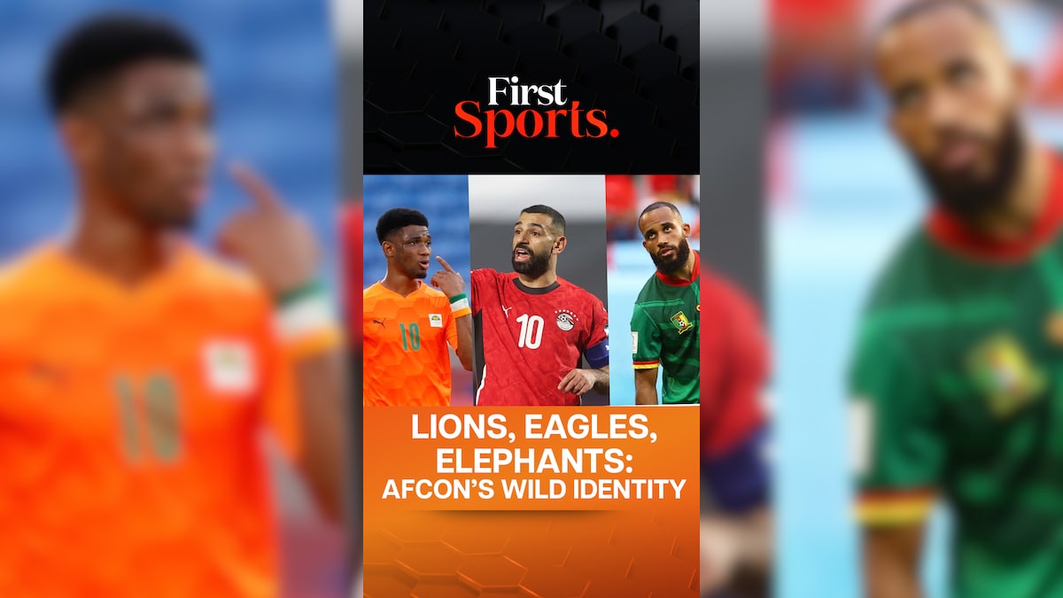 Why African Football Teams Are Named After Lions, Eagles & Warriors ...