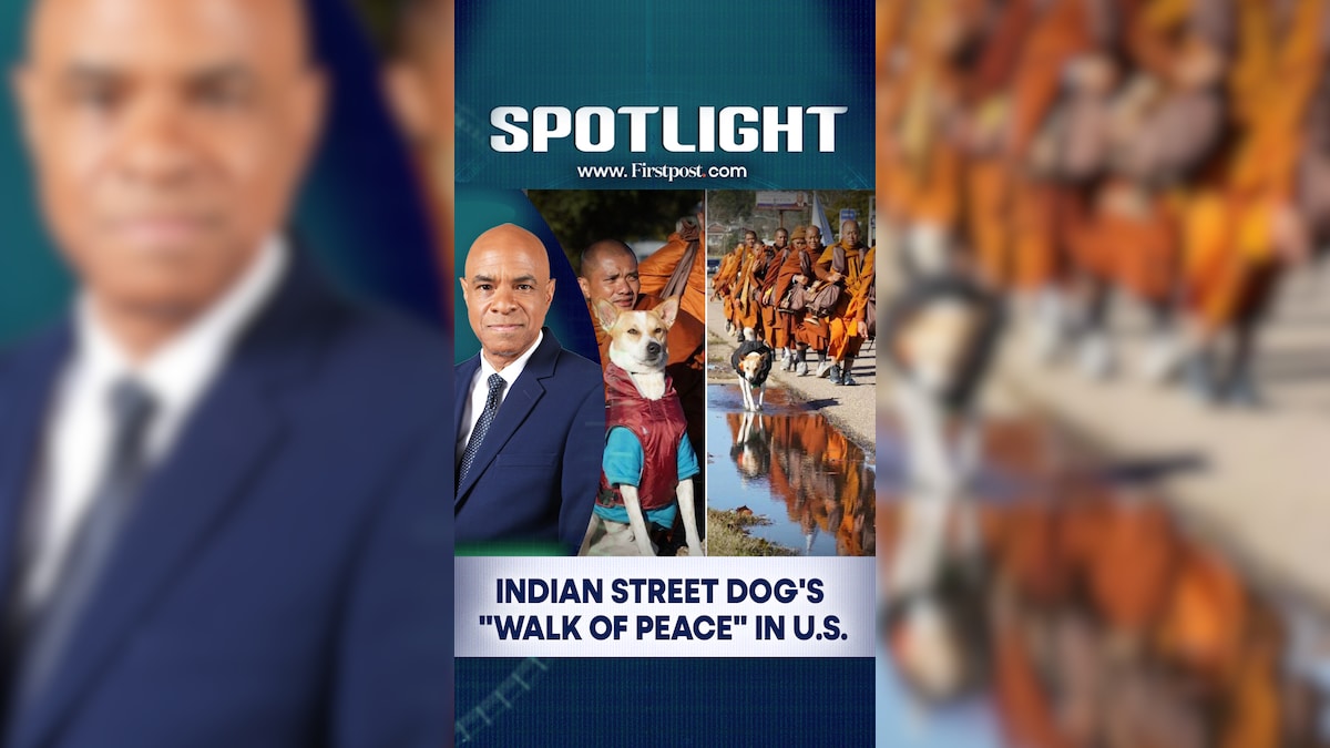 Indian Street Dog's "Walk Of Peace" In U.S. | Spotlight