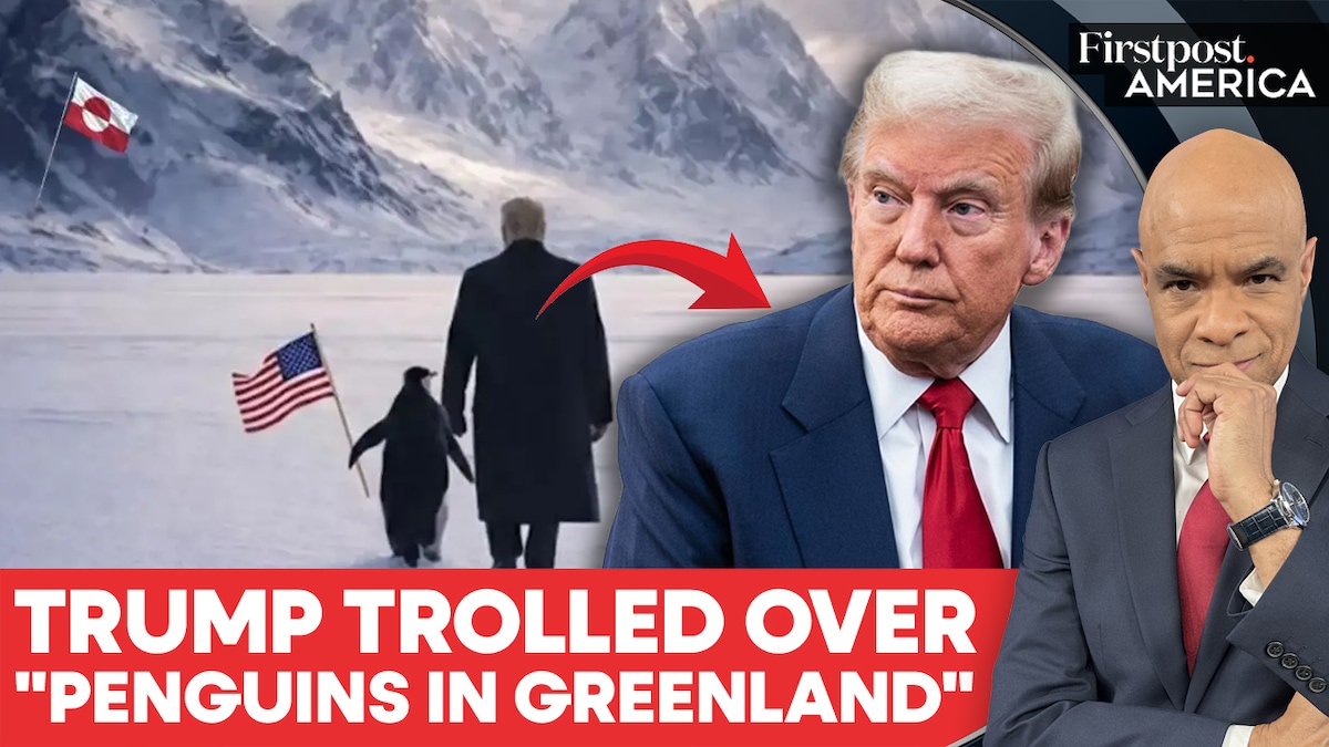 Trump’s AI Penguin Walk to Greenland Gets Brutally Fact-Checked Online ...
