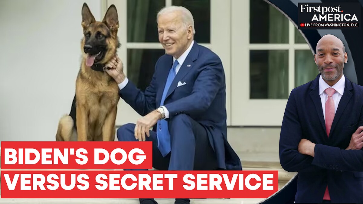 US President Joe Biden’s Dog "Commander" Bites Secret Service Agents 24 ...