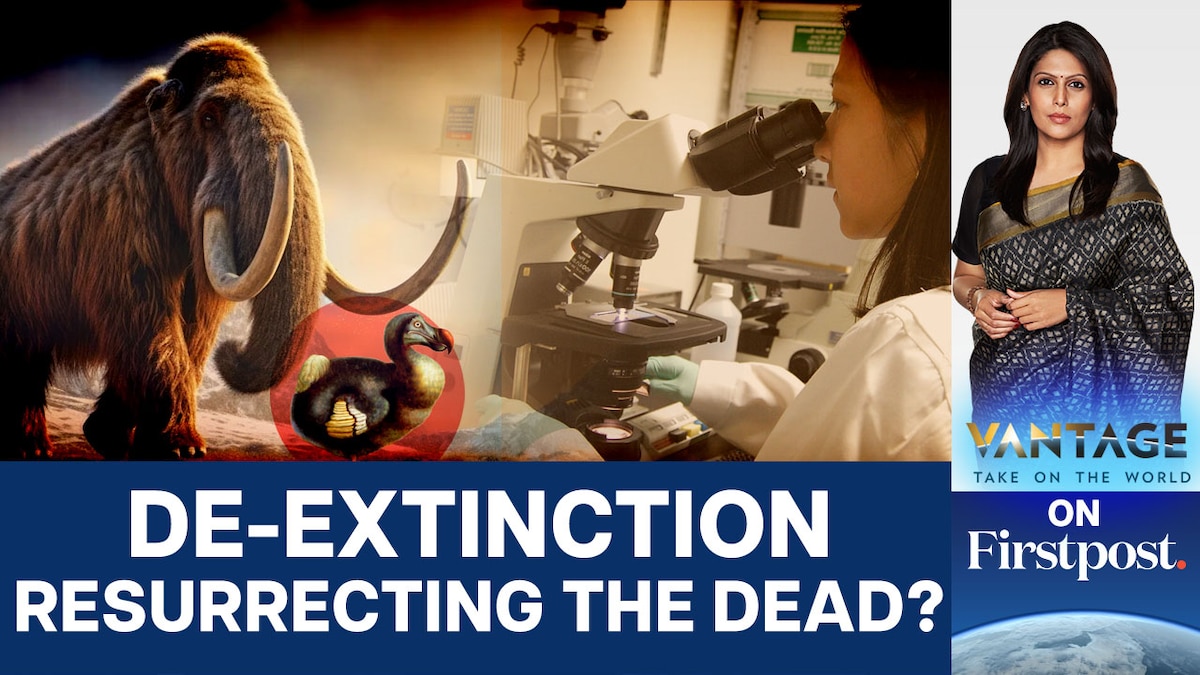 One Step Closer to Reviving Woolly Mammoth?