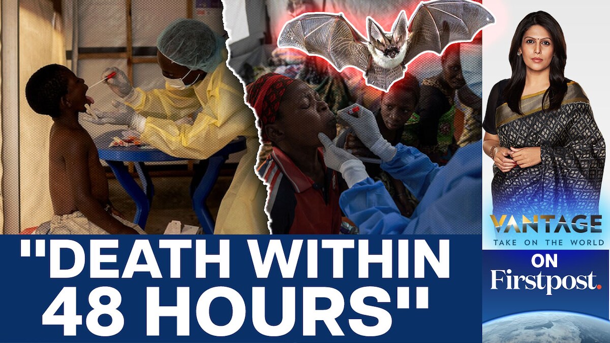 Mystery Disease Linked to Eating Bats Kills More Than 50 People ...