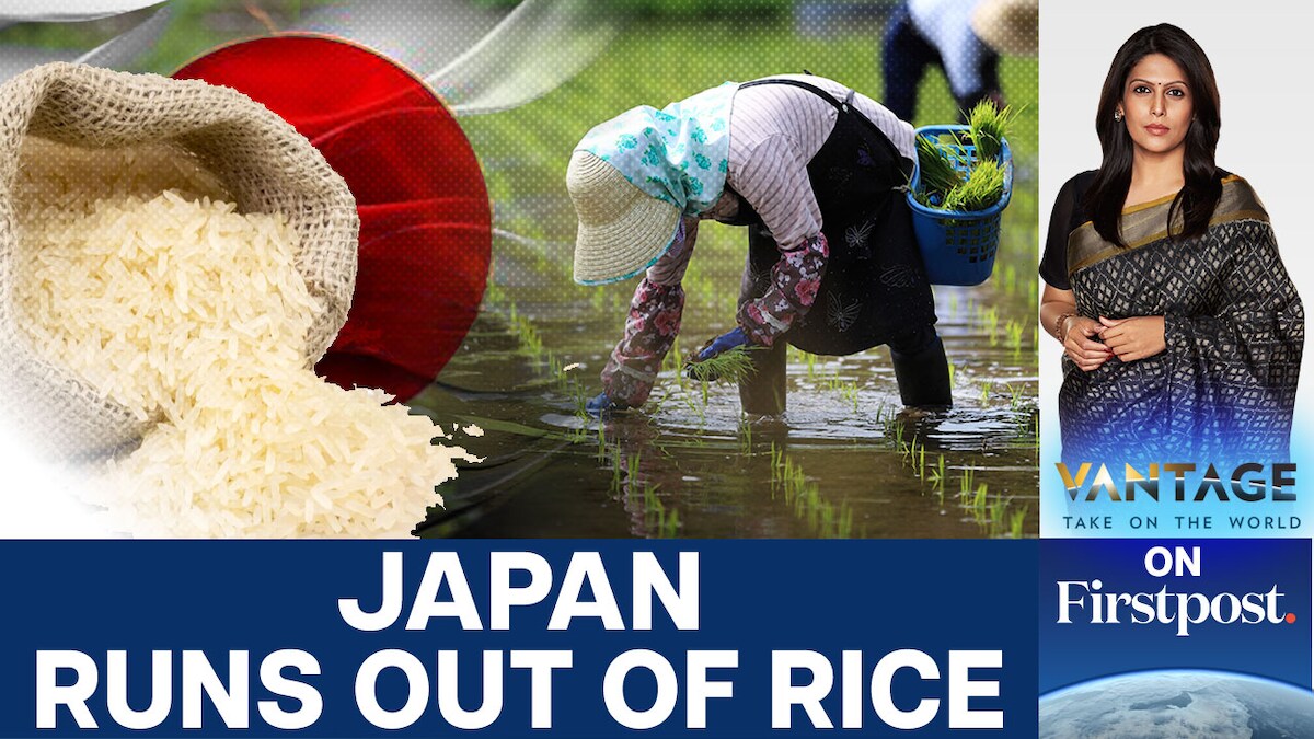 Where Did All the Rice Go? Inside Japan’s Vanishing Harvest | Vantage ...