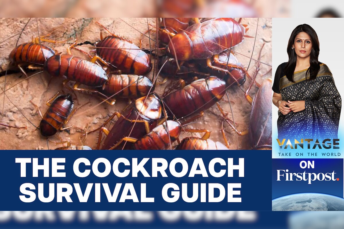 How to Conquer the World: Cockroach Survival Guide