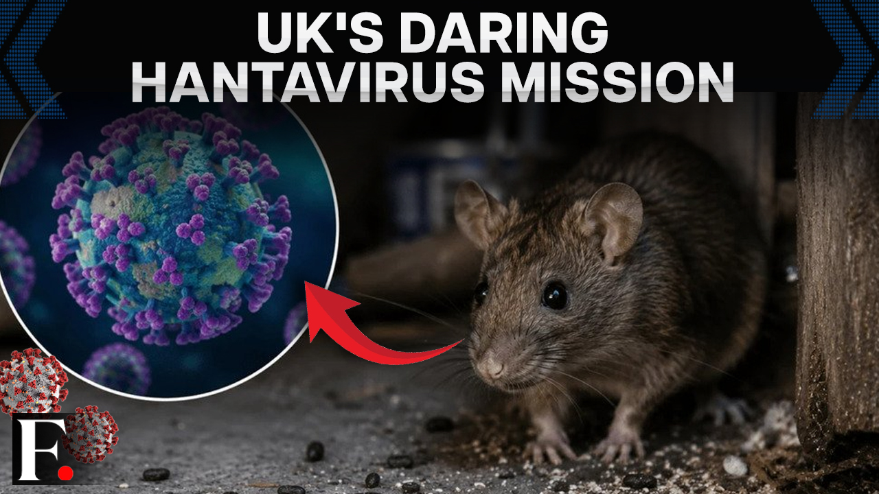 UK Army Airdrops Medics, Supplies to Aid Hantavirus-Infected Ship ...
