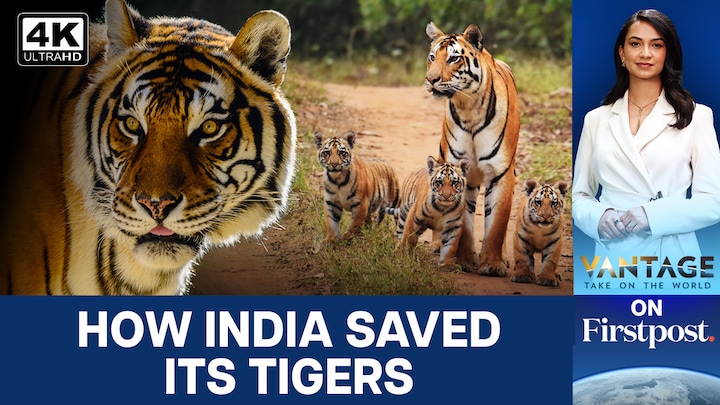 Binge-Worthy Video Shows on Firstpost: Latest Must-Watches