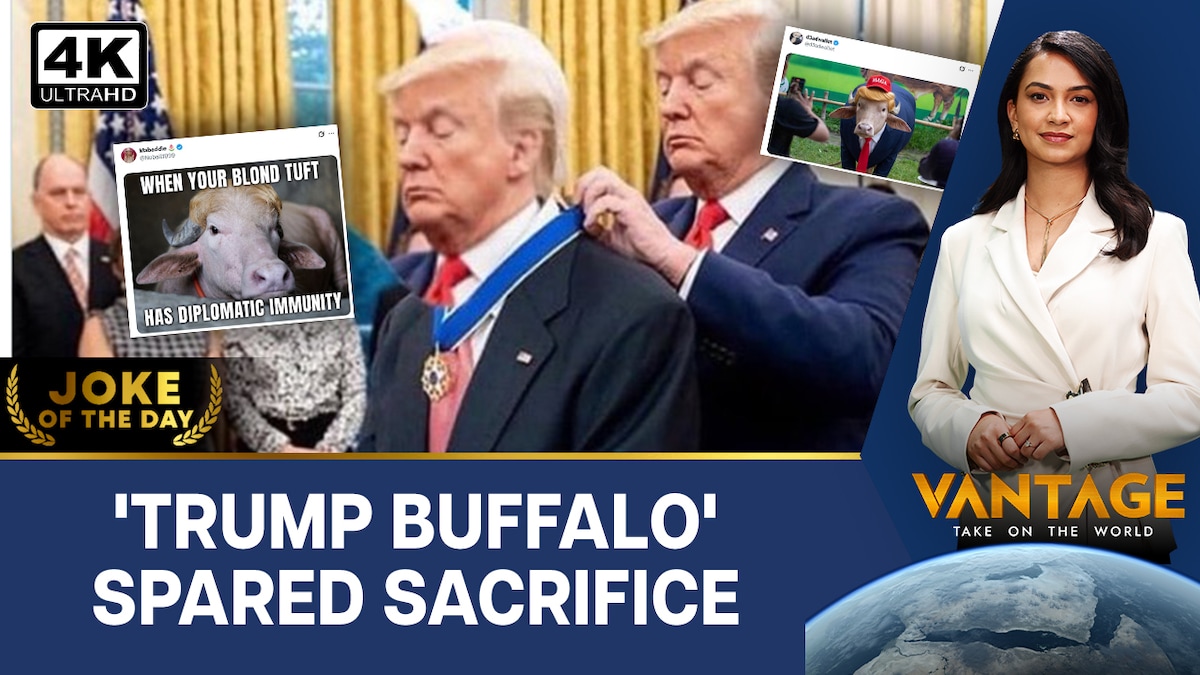 Bangladeshi Buffalo Named Trump Escapes Eid Sacrifice | Vantage Joke of ...