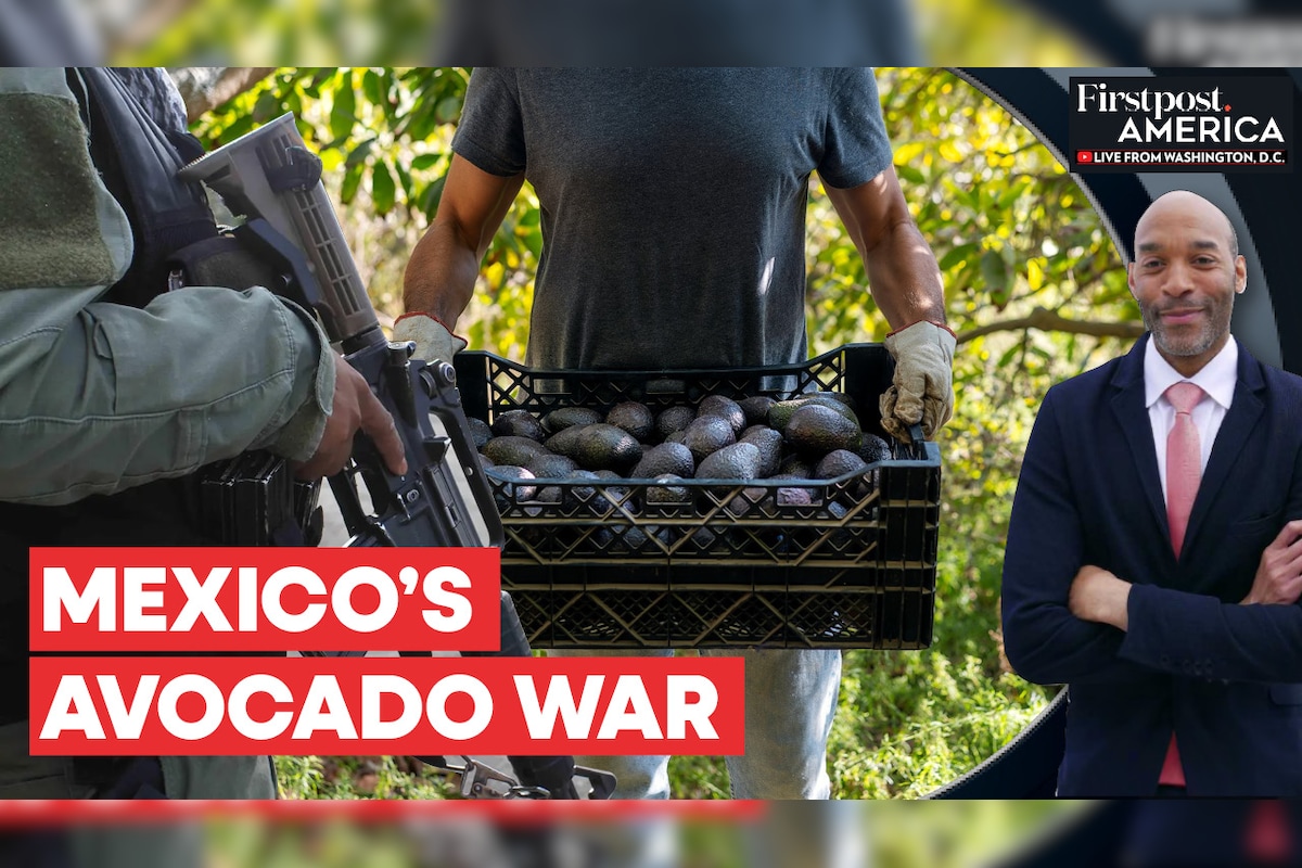 Mexico Avocado Farmers Take Up Arms Against Cartel Violence