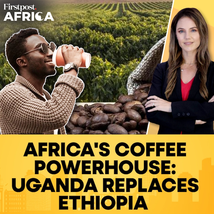 Uganda Surpasses Ethiopia to Become Africa’s Top Coffee Exporter | Firstpost Africa  | N18G