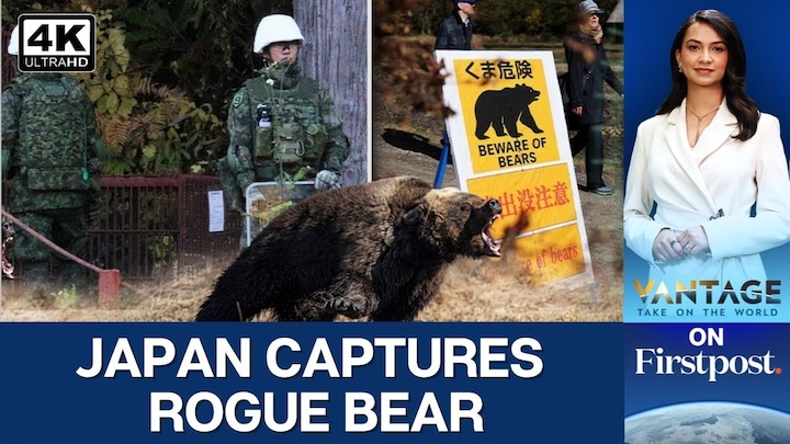 Four Days, 94 Schools Closed, One Bear: Japan's Unusual Manhunt ...