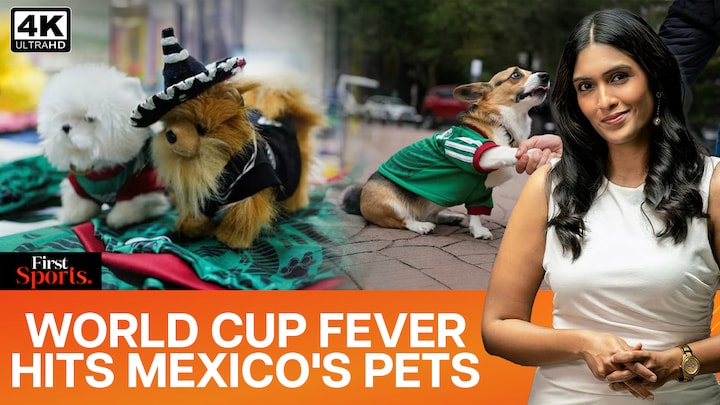 Dogs, Ducks & Horses Join Mexico's FIFA World Cup Party | First Sports ...