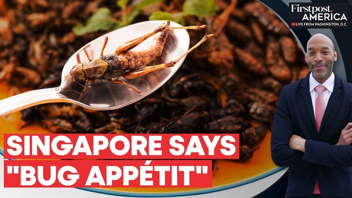 Singapore Introduces Edible Insects in Food Menus
