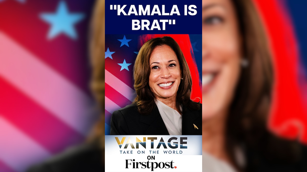 US Election 2024: Kamala Harris Secures Support of Majority of Delegates