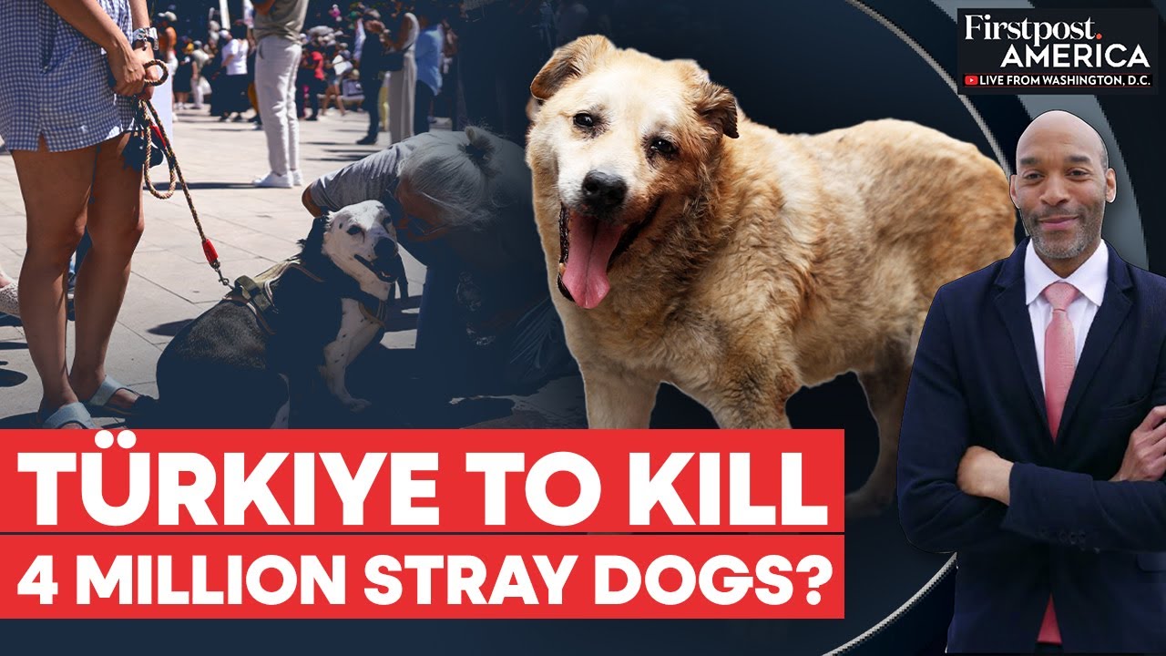 Turkey Approves Culling of Stray Dogs, Sparks Mass Protests