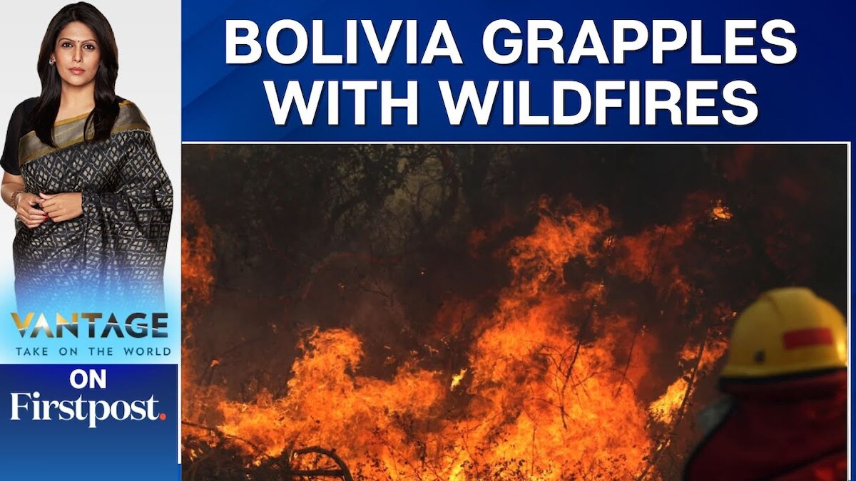 Wildlife Bears the Brunt of Fires in Bolivia