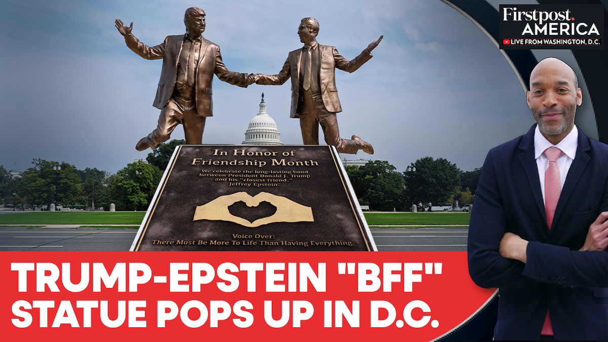 US: Trump, Epstein Statue Holding Hands Appears in Washington DC ...
