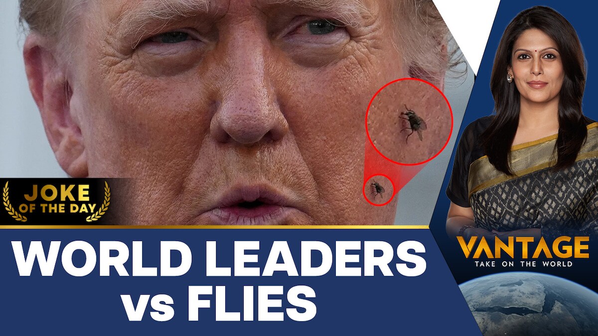 Donald Trump Mocked Over Weird Response to a Fly