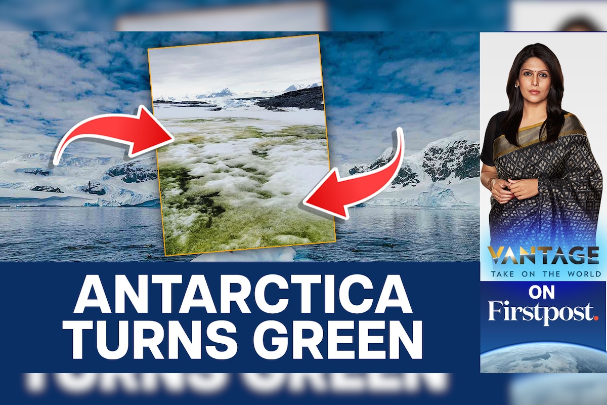 Why is Antarctica Turning Green?
