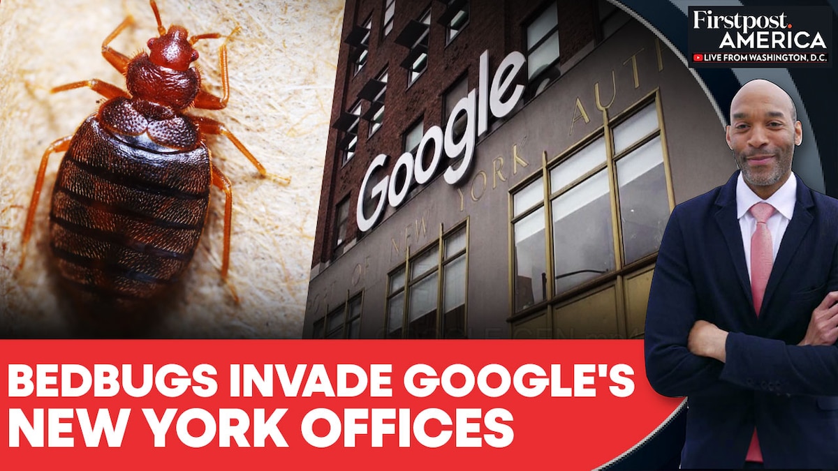 Bedbugs Enter Google's New York City Offices, Employees Told To Stay ...