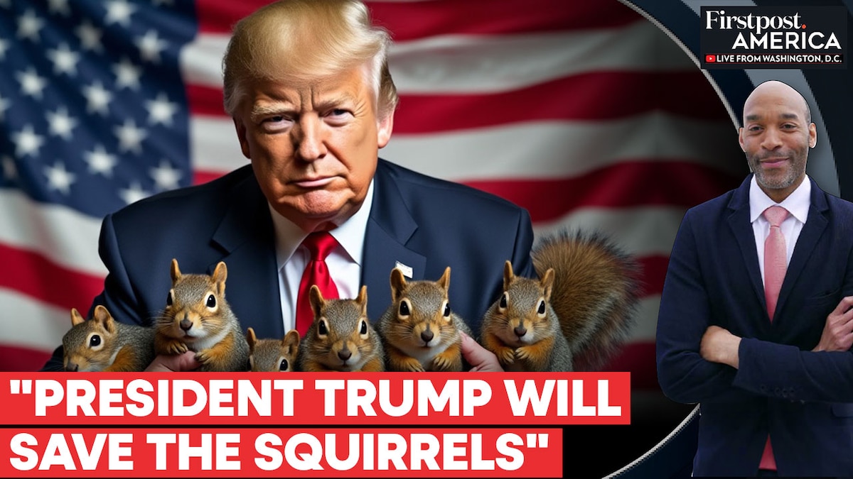 Peanut the Squirrel's Euthanisation Sparks Outrage and Political ...