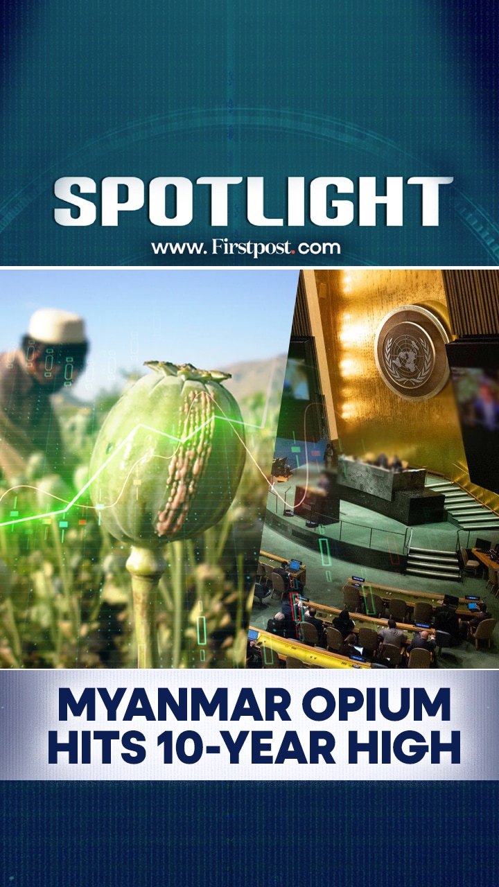 Myanmar Opium Hits 10-year High | Firstpost Spotlight